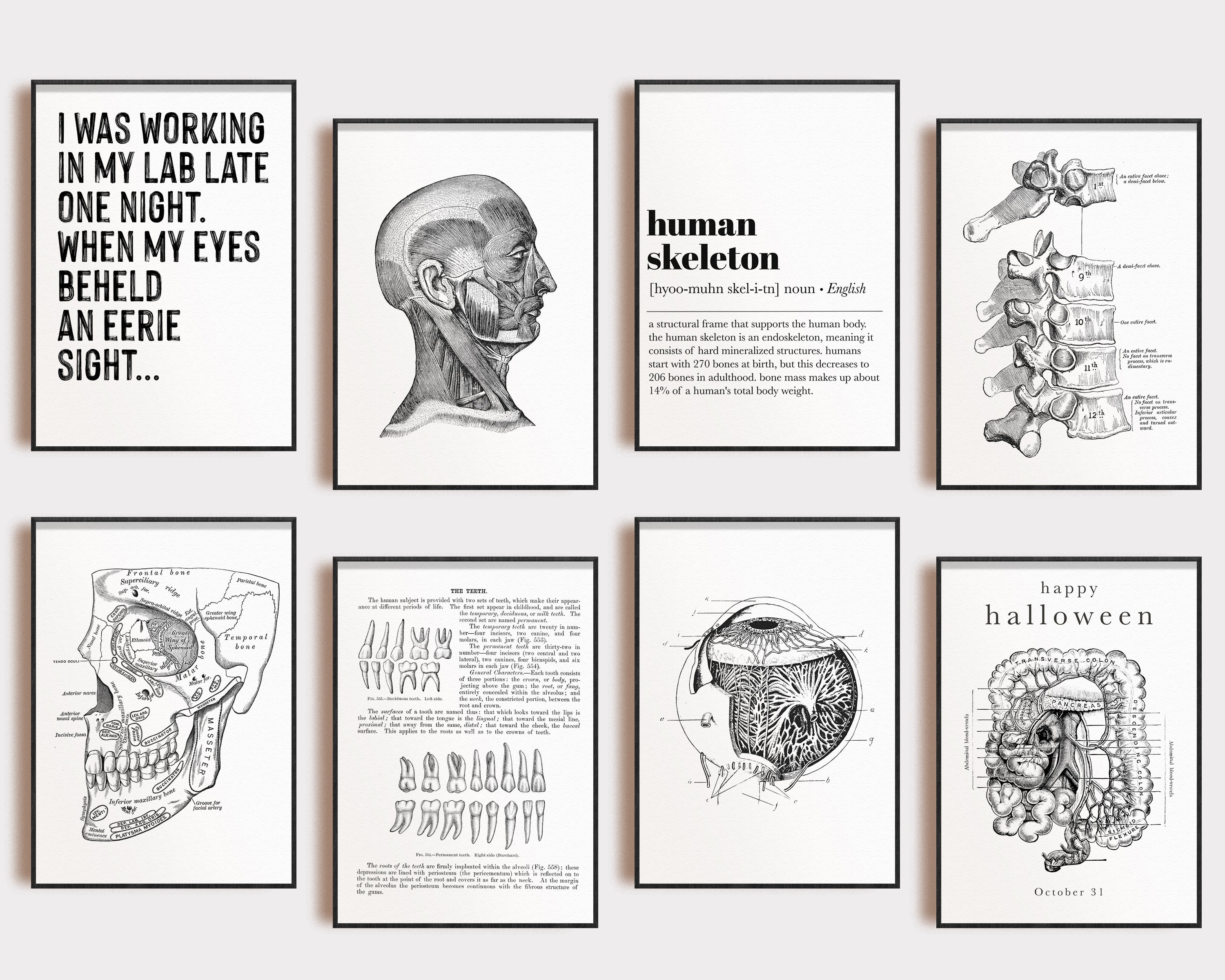 Anatomy Halloween Bundle – kikiandnim