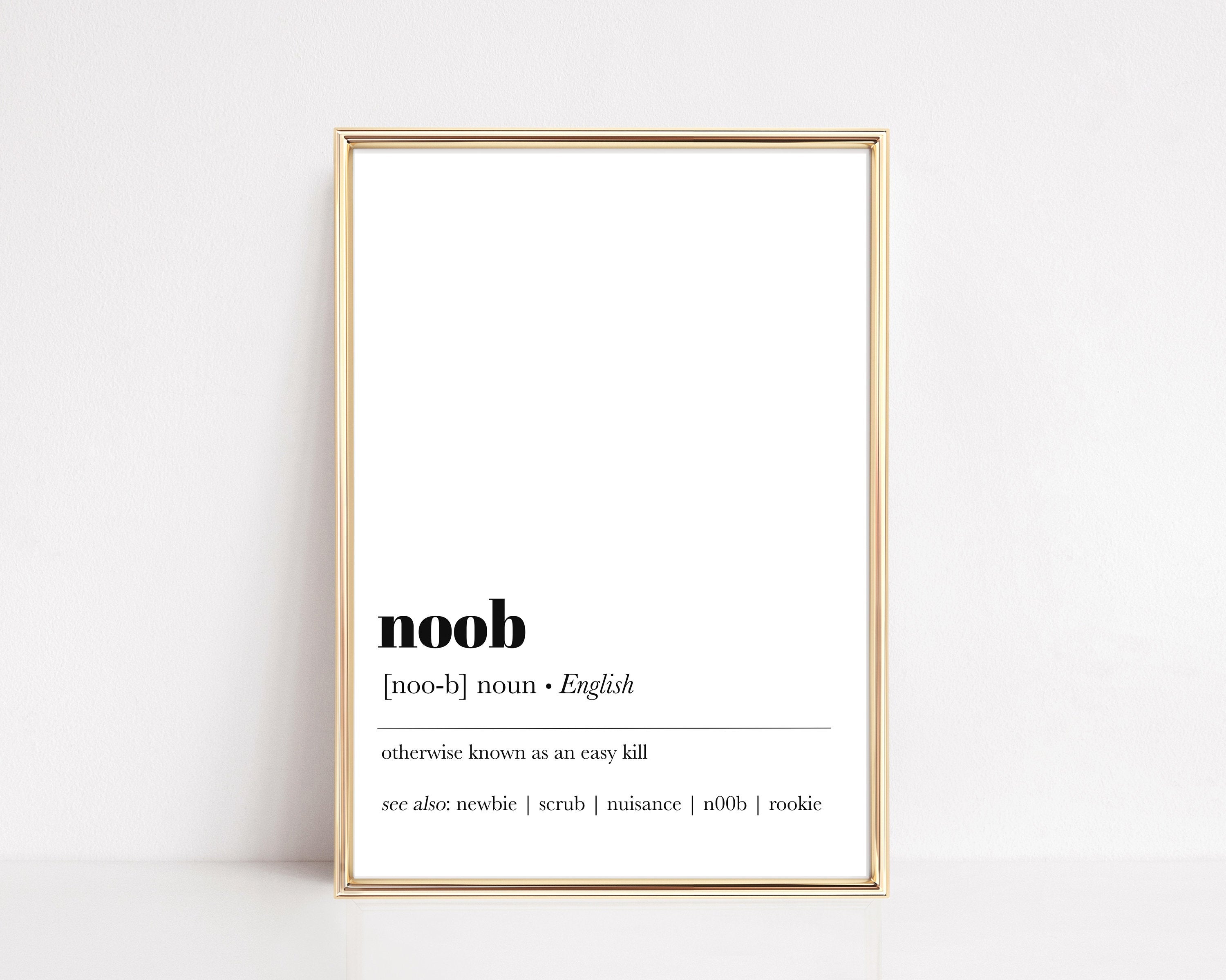 Noob Definition – kikiandnim